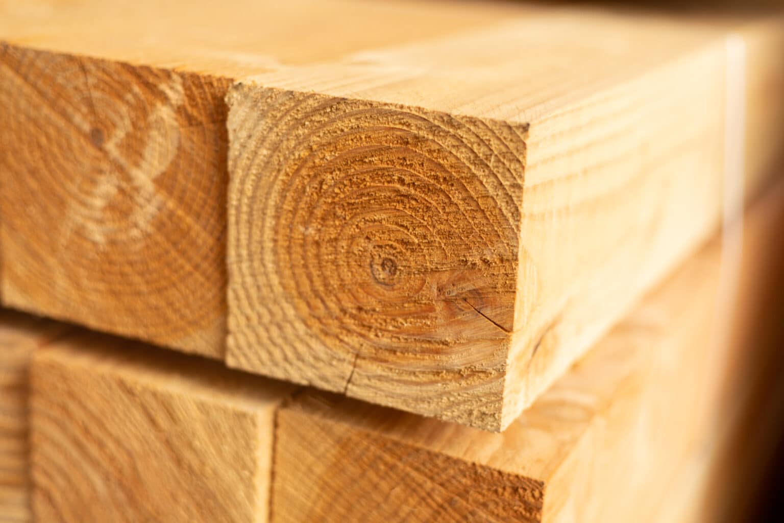 Douglas balk 15x15x300cm | Outdoor Gigant