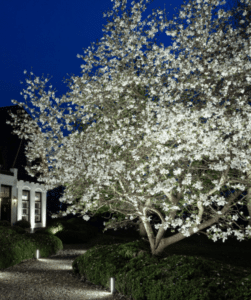 In-lite big scope voor uw tuin - Outdoor Gigant